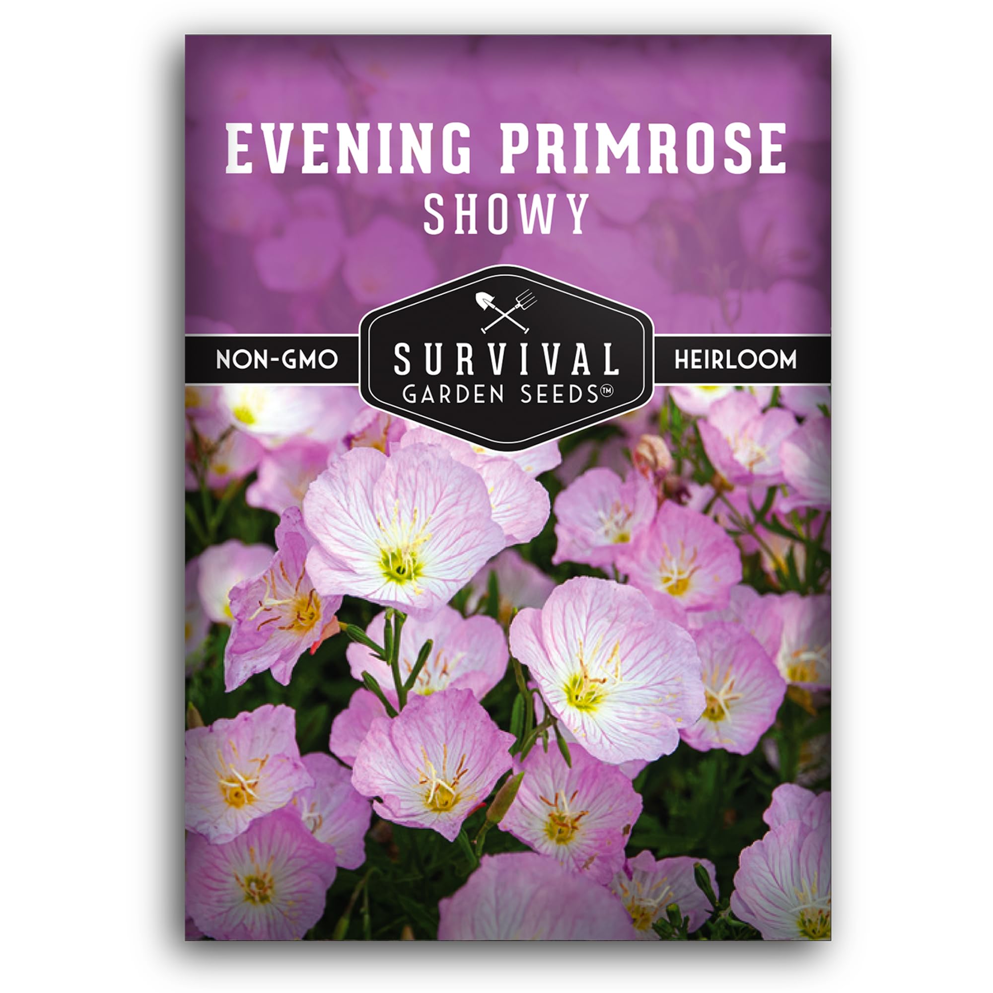 Amazon.com : Showy Evening Primrose Seed for Planting - 1 Packet with ...