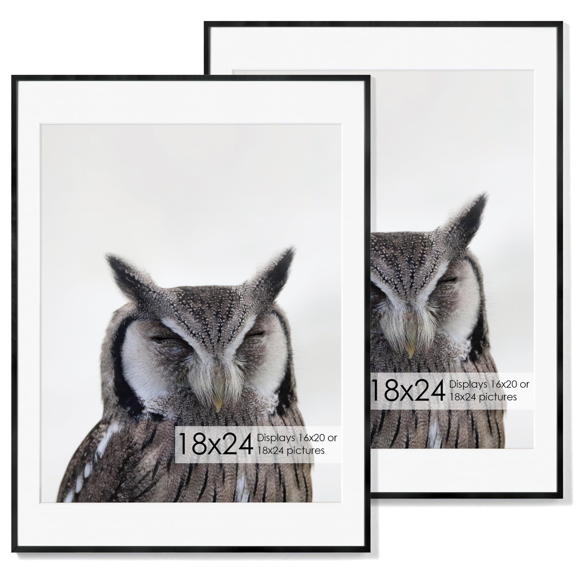 Amazon.com - Fun Memories 18x24 Aluminum Poster Frame, 18 x 24 inch ...