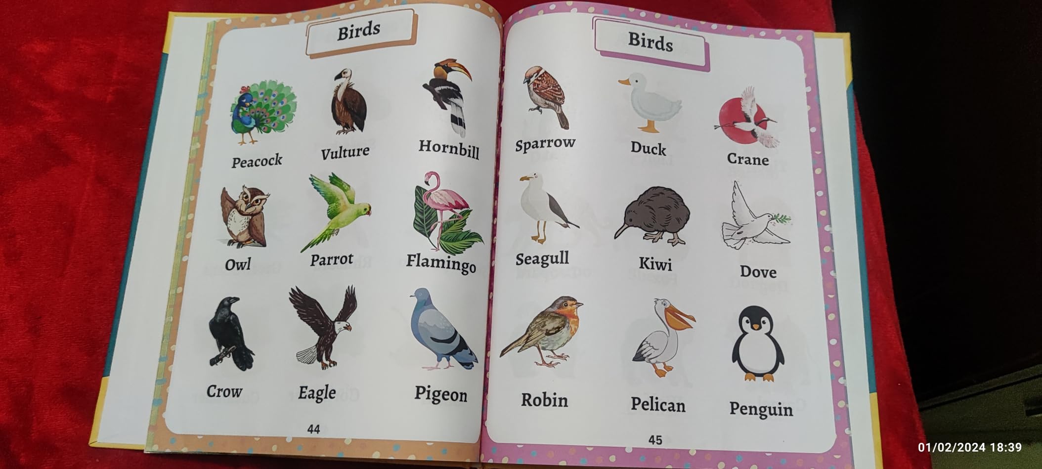 Buy Let's Explore: My First Learning Book Book Online at Low Prices in ...