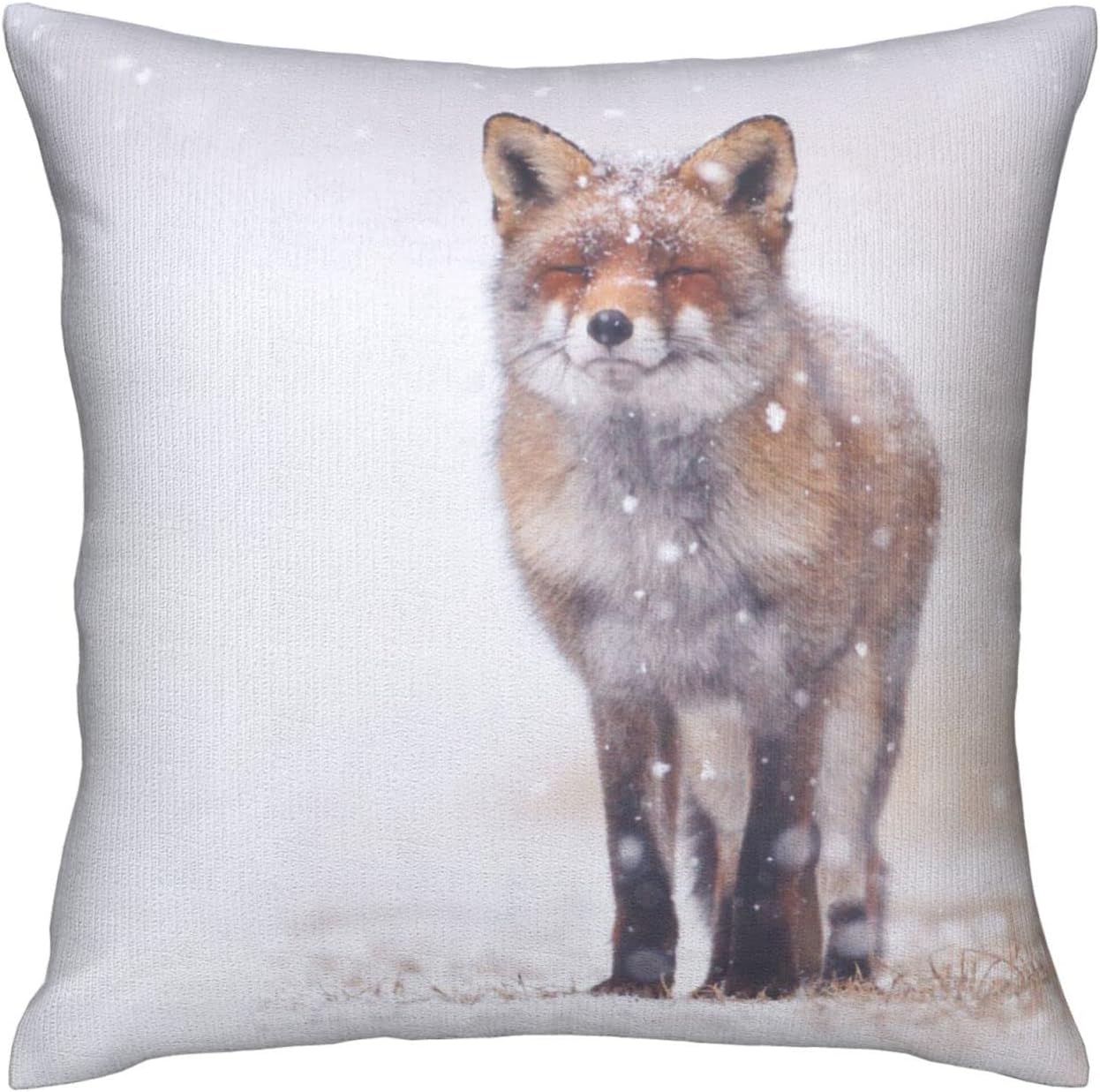 Amazon.com: VARUN Square Throw Pillow Covers Cute Smiling Fox in Snow ...