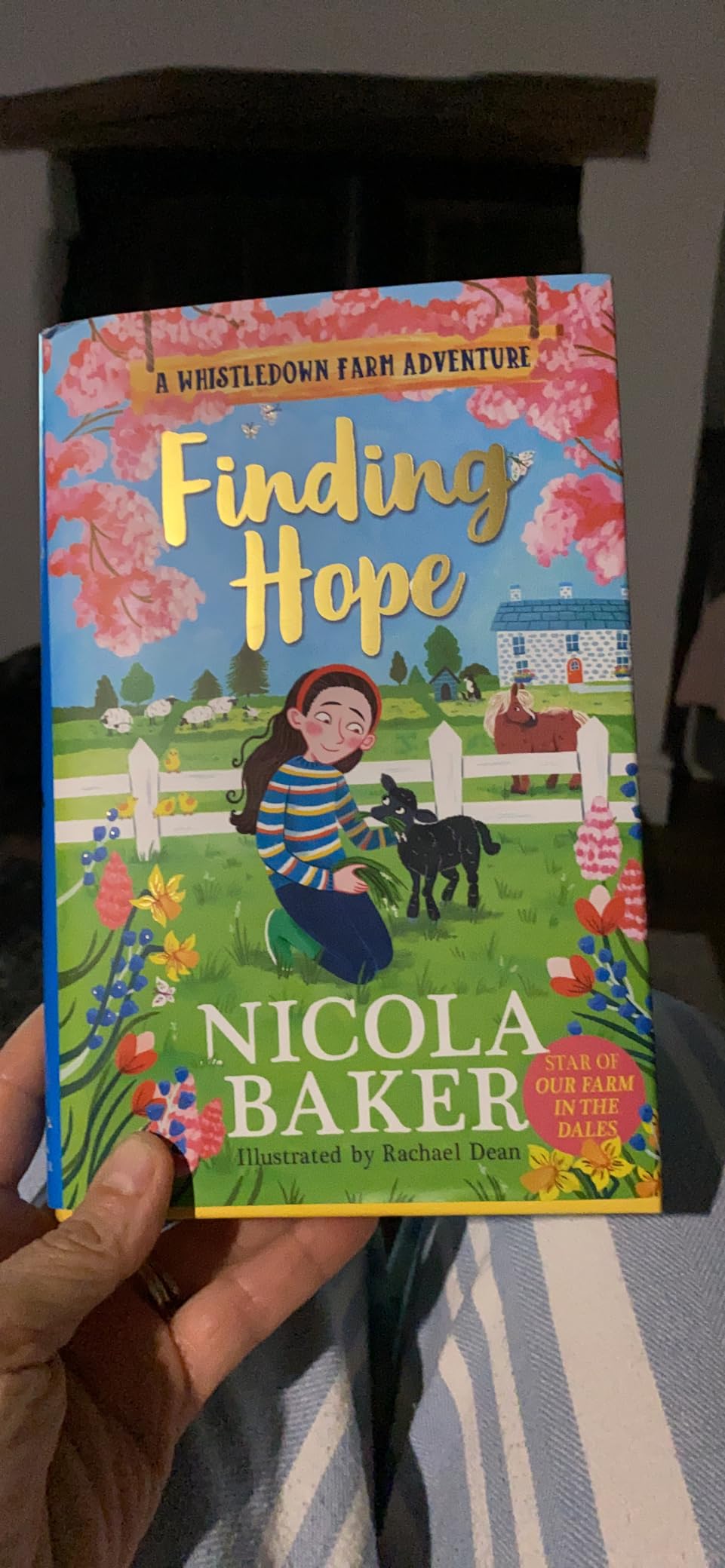Finding Hope (Volume 1) (A Whistledown Farm Adventure): Amazon.co.uk: Baker, Nicola ...