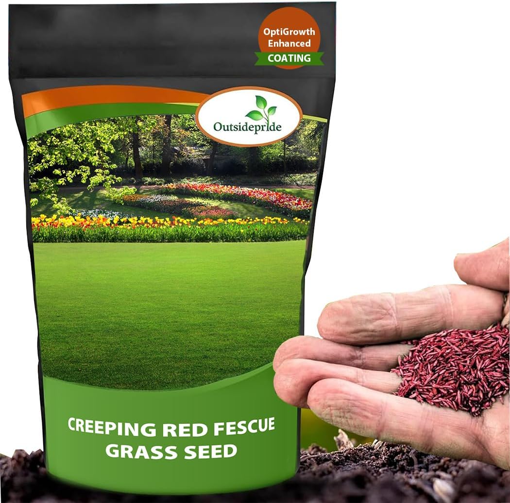 Amazon.com : Outsidepride Creeping Red Fescue Grass Seed - 5 Lbs. Cool ...