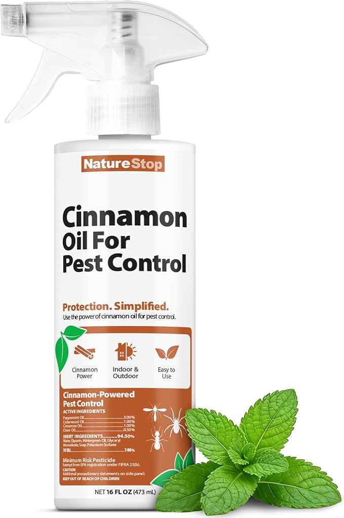 Amazon.com: NatureStop Cinnamon Oil for Pest Control, Natural Essential ...