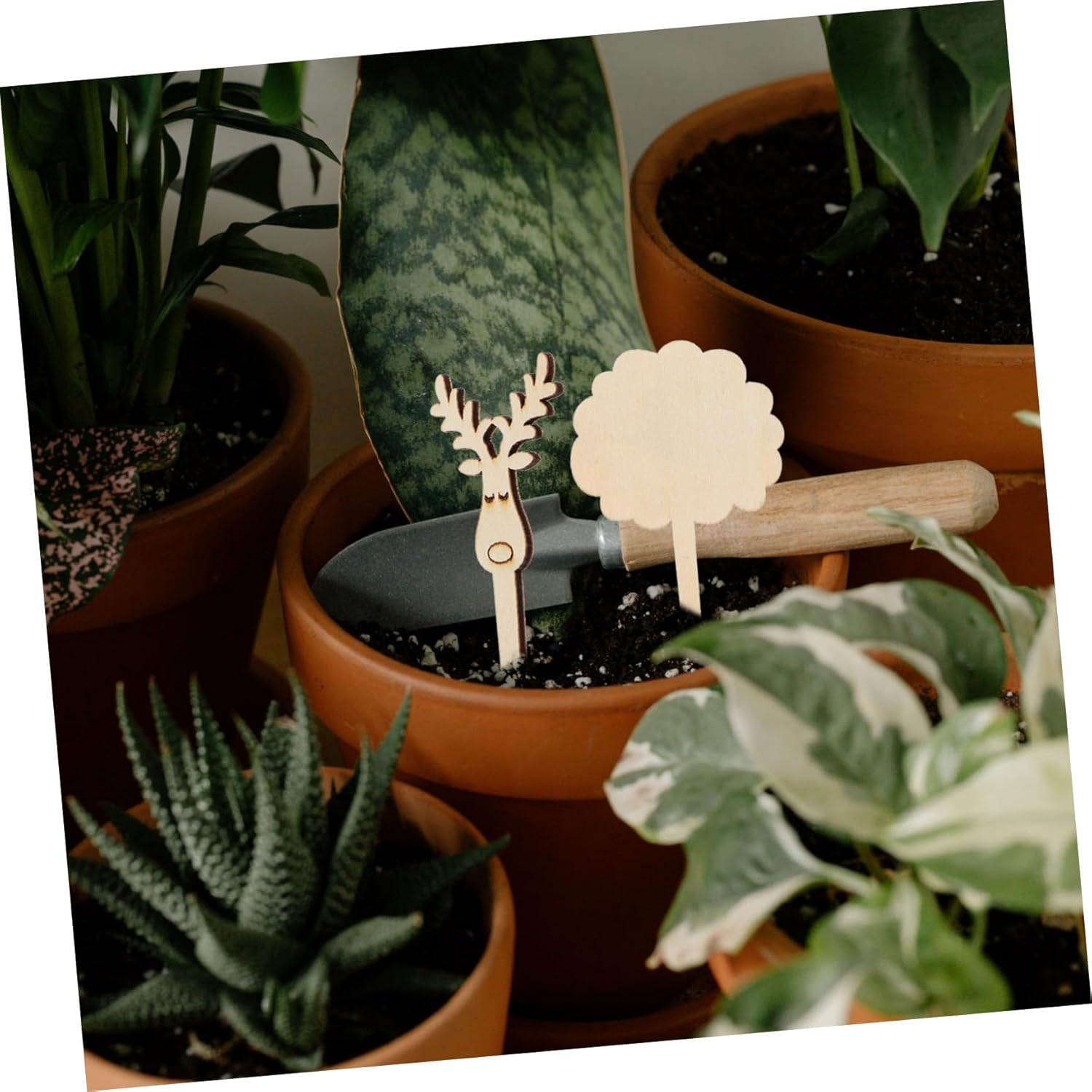 Happyyami 30pcs Wooden Signage Suculentas Wooden Tags Vegetable Plants ...