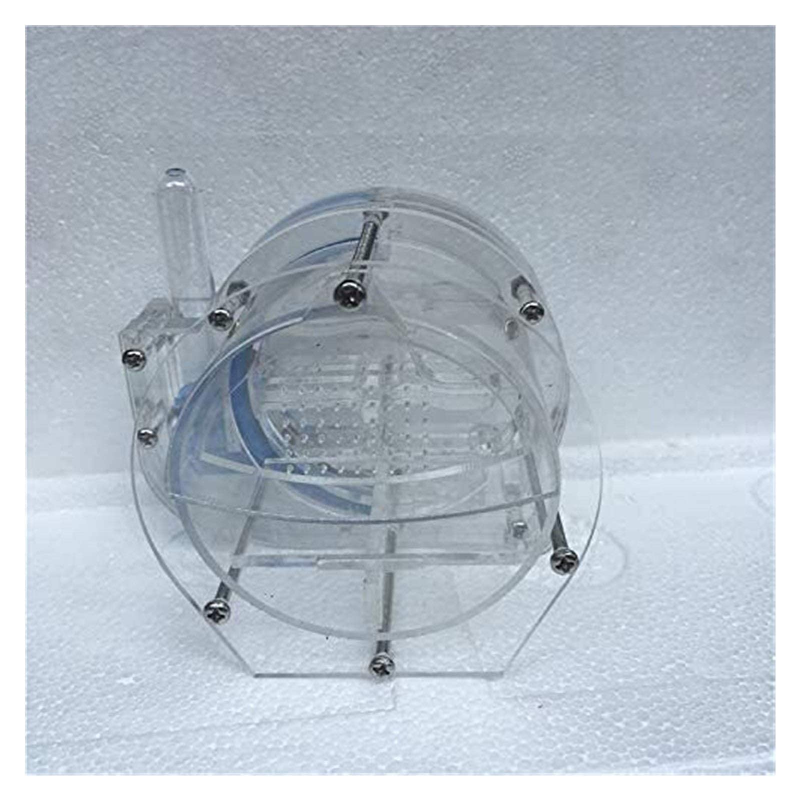 Buy Ant Works Farm Castle Live Ant Nest City Ant House Ant Workshop ...