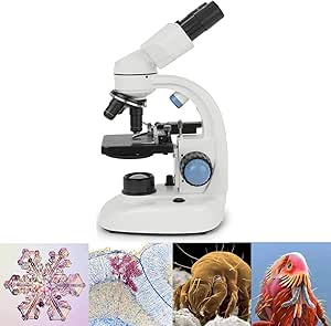 Amazon.com: 40X-1000X Binocular Compound Microscope, Filter Biological ...
