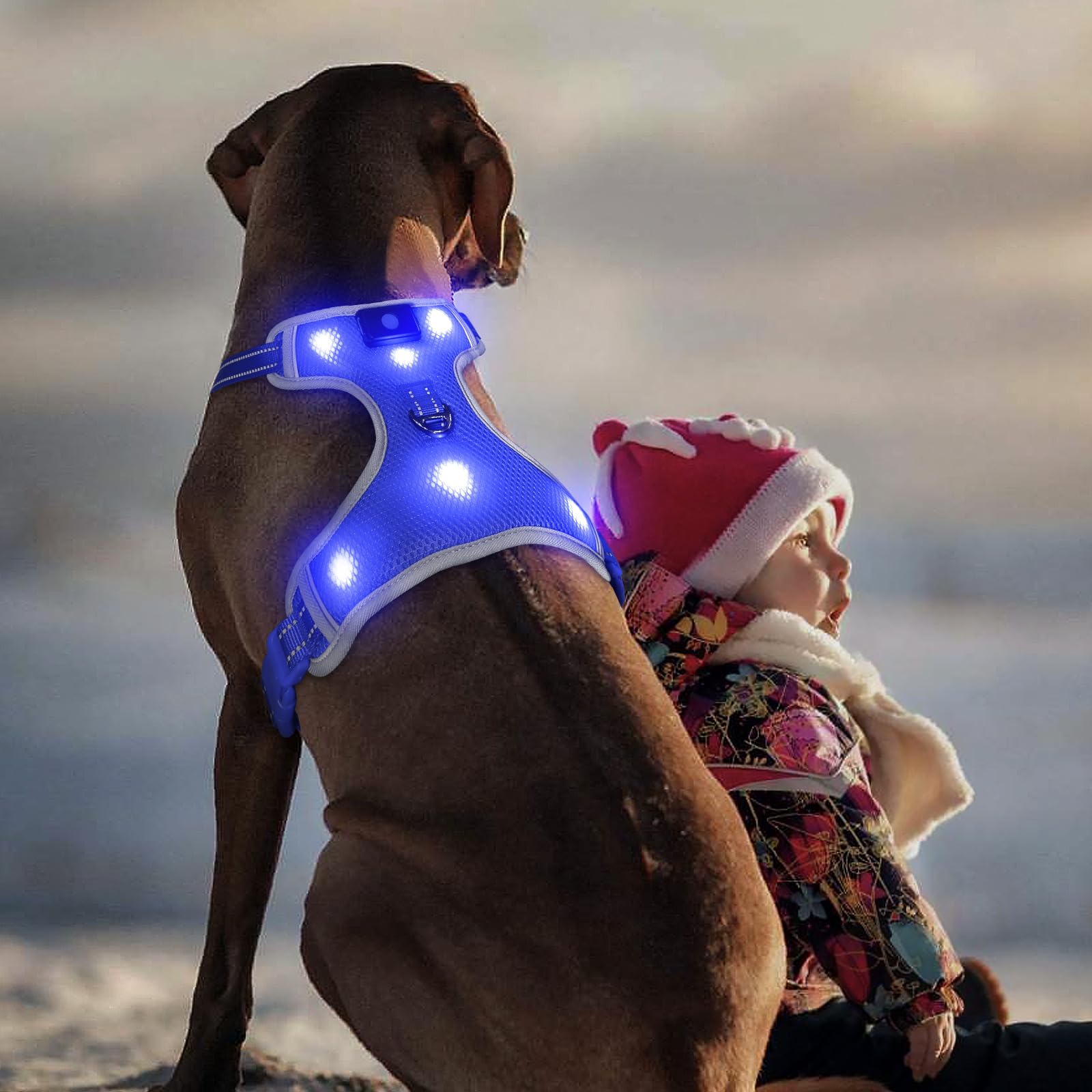 Snapklik.com : BSEEN Light Up Dog Harness - No Pull LED Dog Harness ...