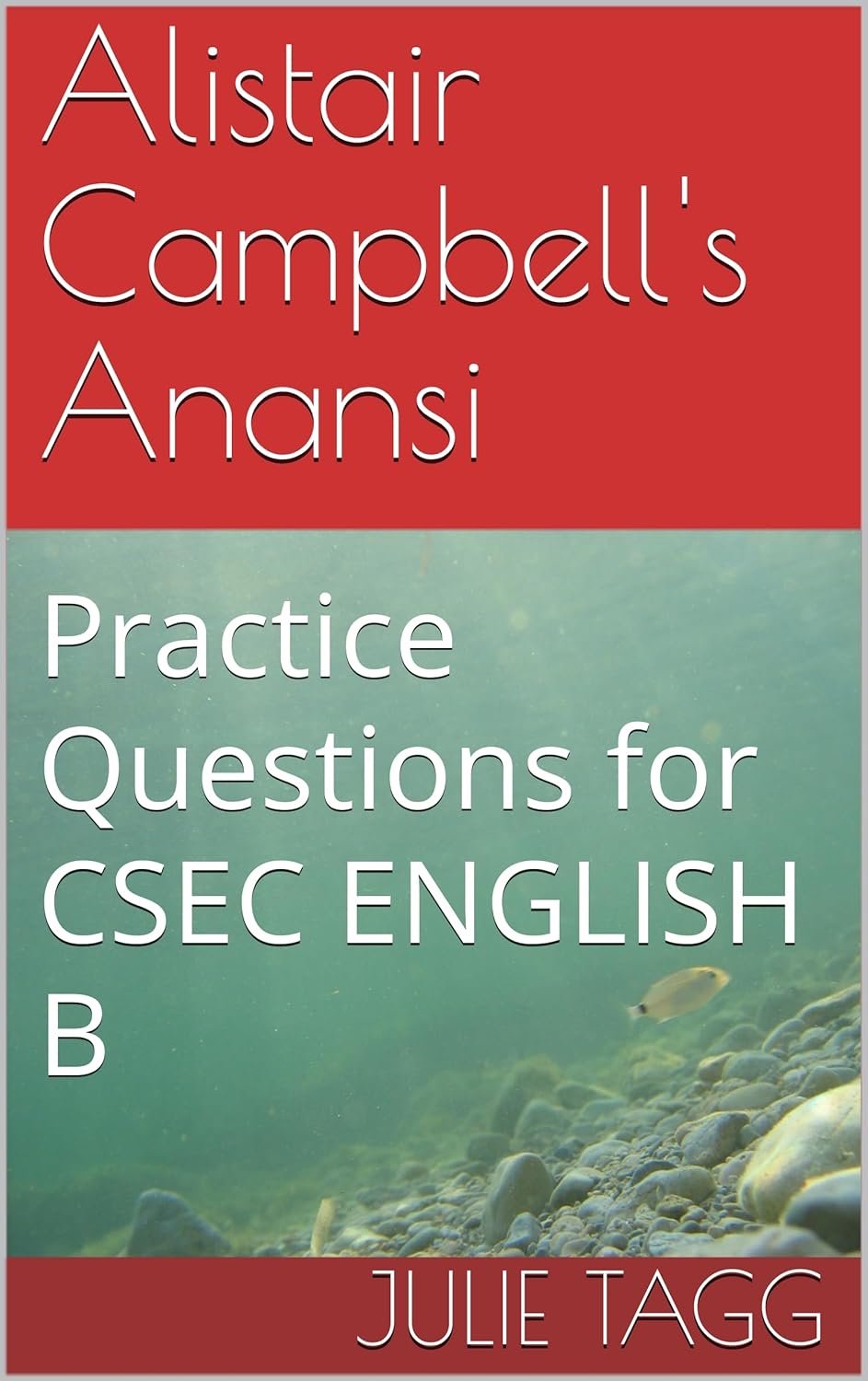 Amazon.com: Alistair Campbell's Anansi : Practice Questions for CSEC ...