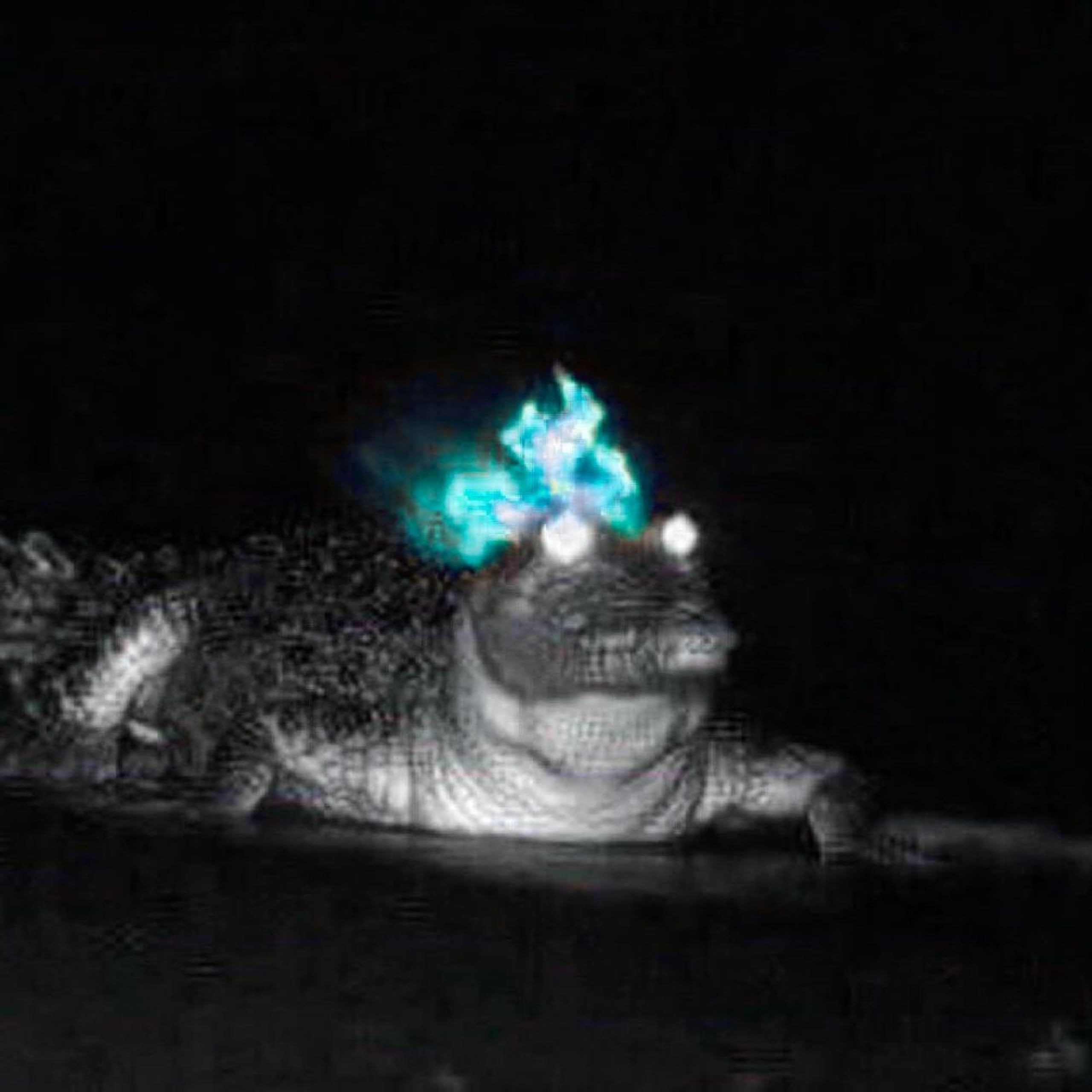Axolotl in the Ocean song by Grandayy feat. Danny Magee from Axolotl in ...