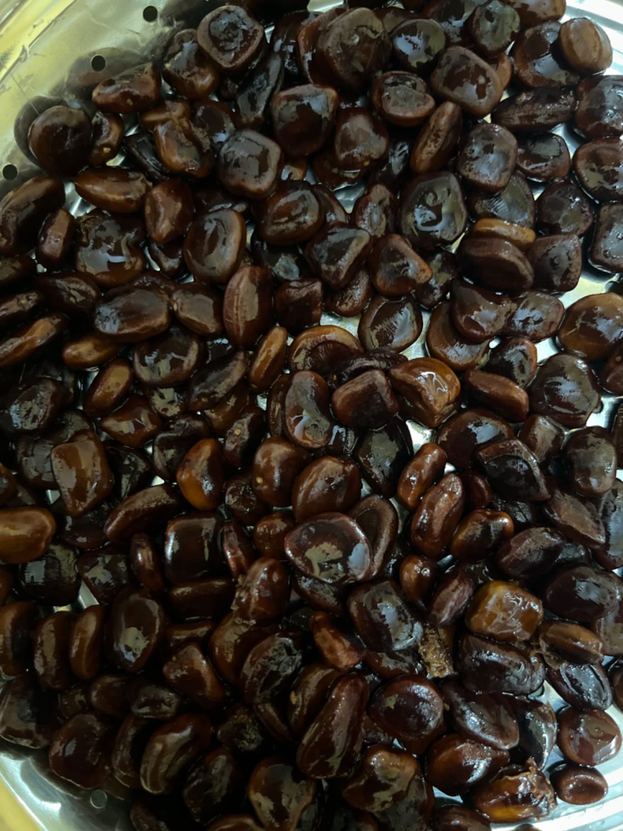 RUKDA Fresh Organic Tamarind Seeds | Imli Beej | 100% Natural, Non-GMO ...