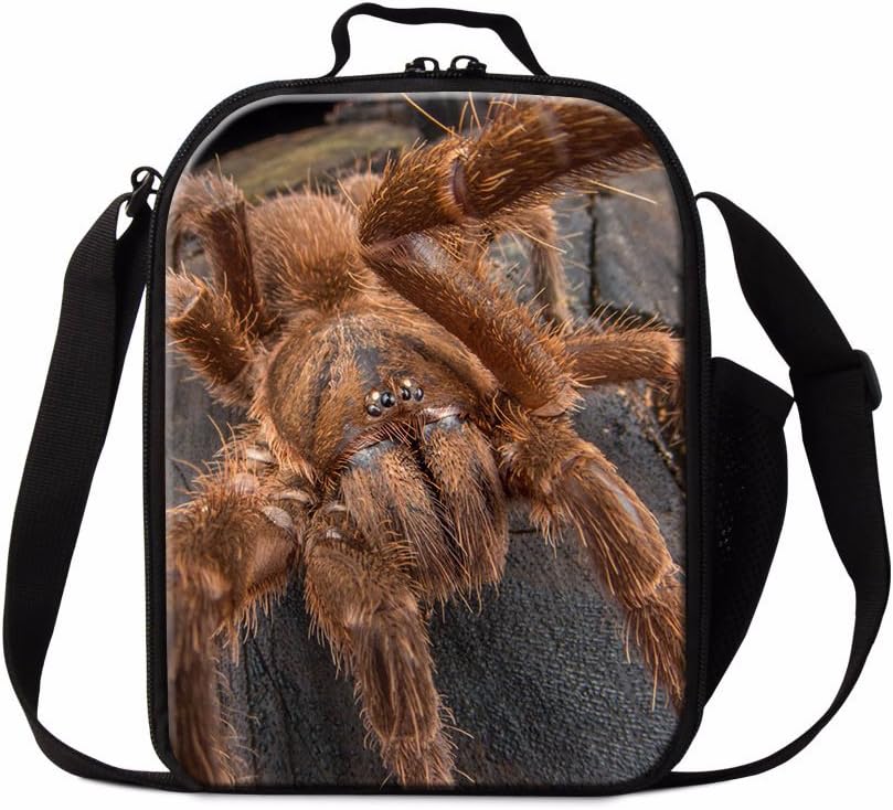 Amazon.com: Dispalang Spider Insect Print Lunch Box Bag for Children ...