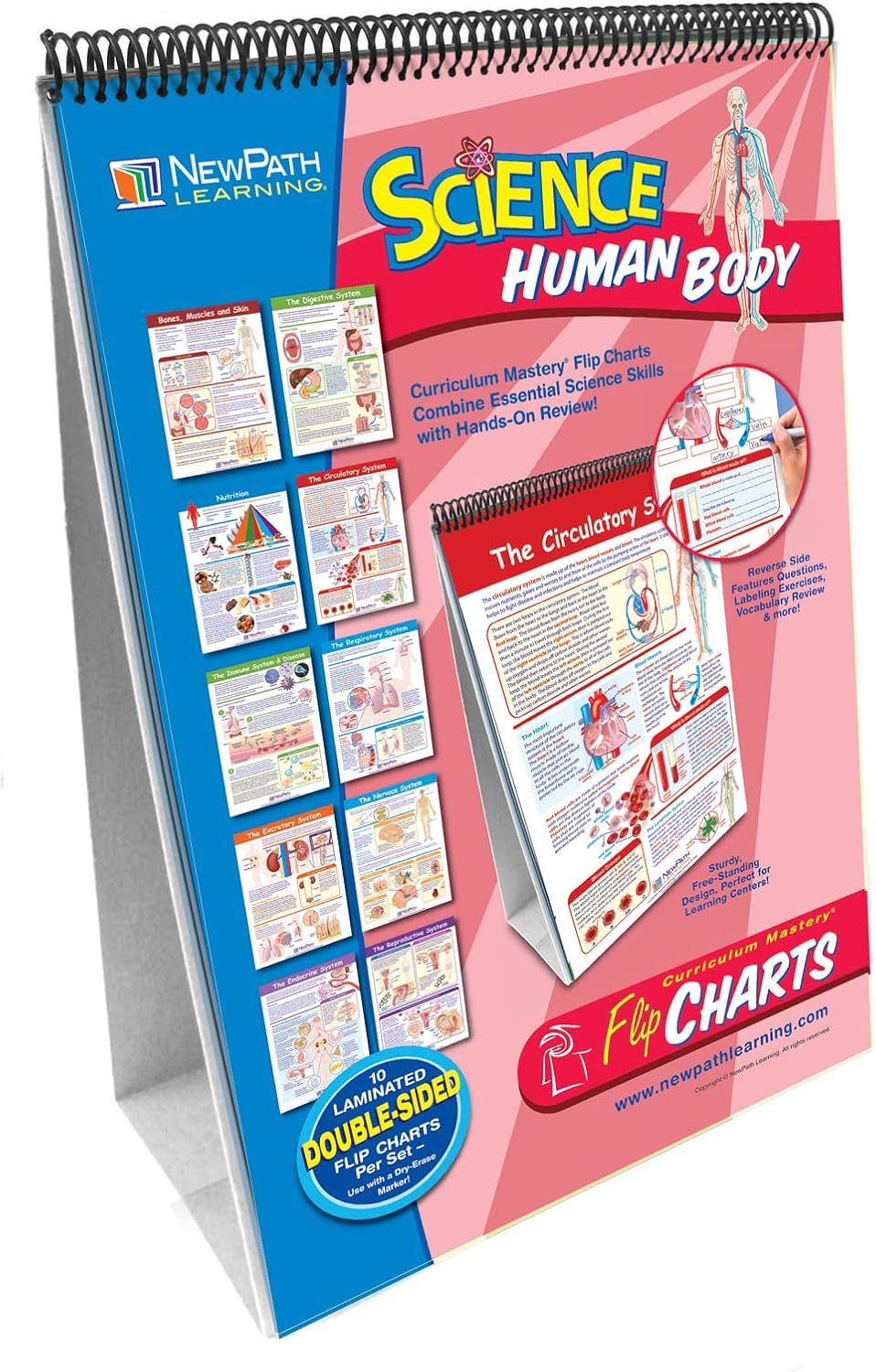 Amazon.com: NewPath Learning 10 Piece Human Body Science Curriculum ...