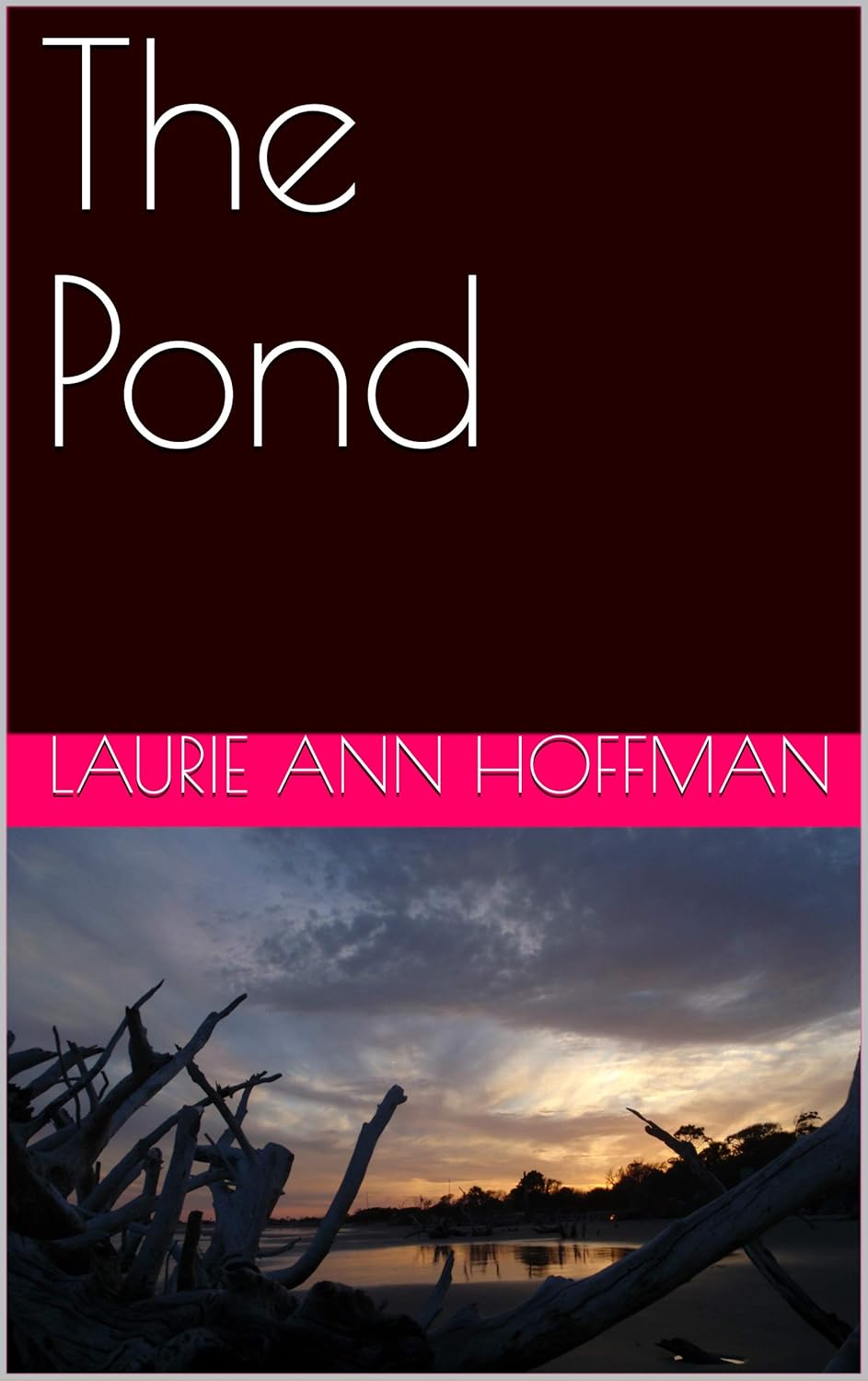 Amazon.com: The Pond eBook : Hoffman, Laurie Ann: Kindle Store