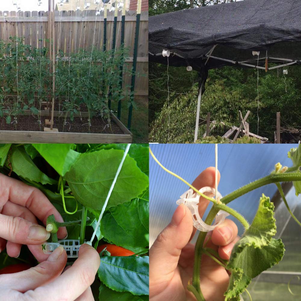 Greenhouse Trellis Systems Telescopic SEO | Haygrove