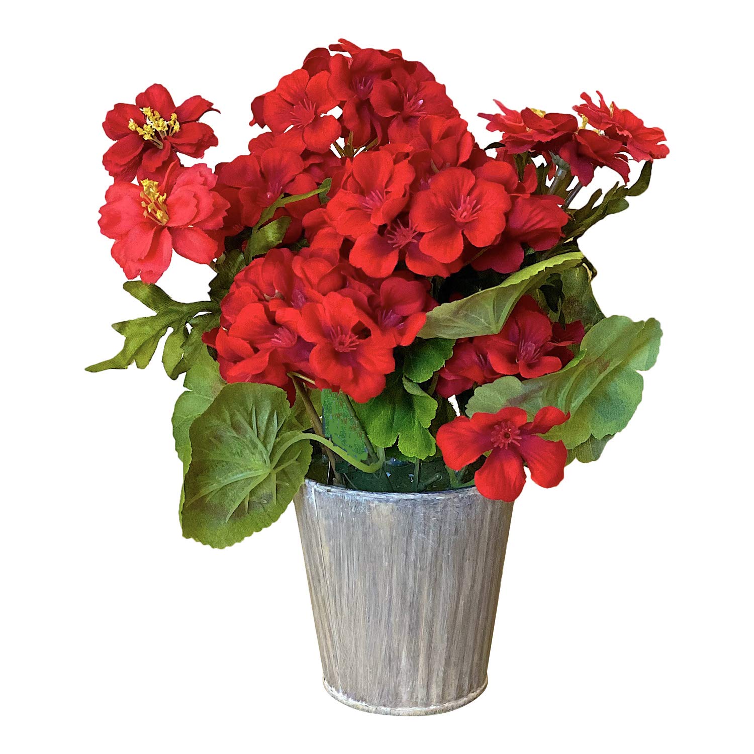 Potted Red Geraniums