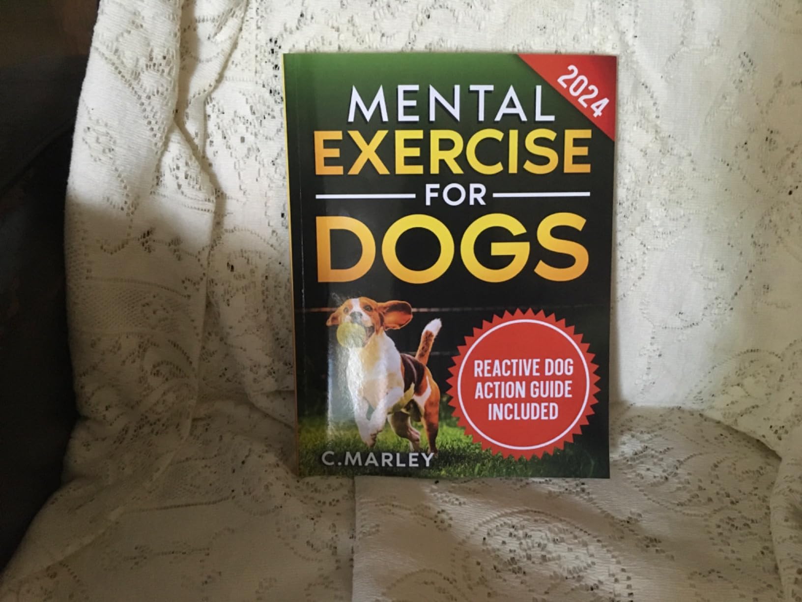 Mental Exercise for Dogs - Transforming Aggressive & Reactive Dogs into ...