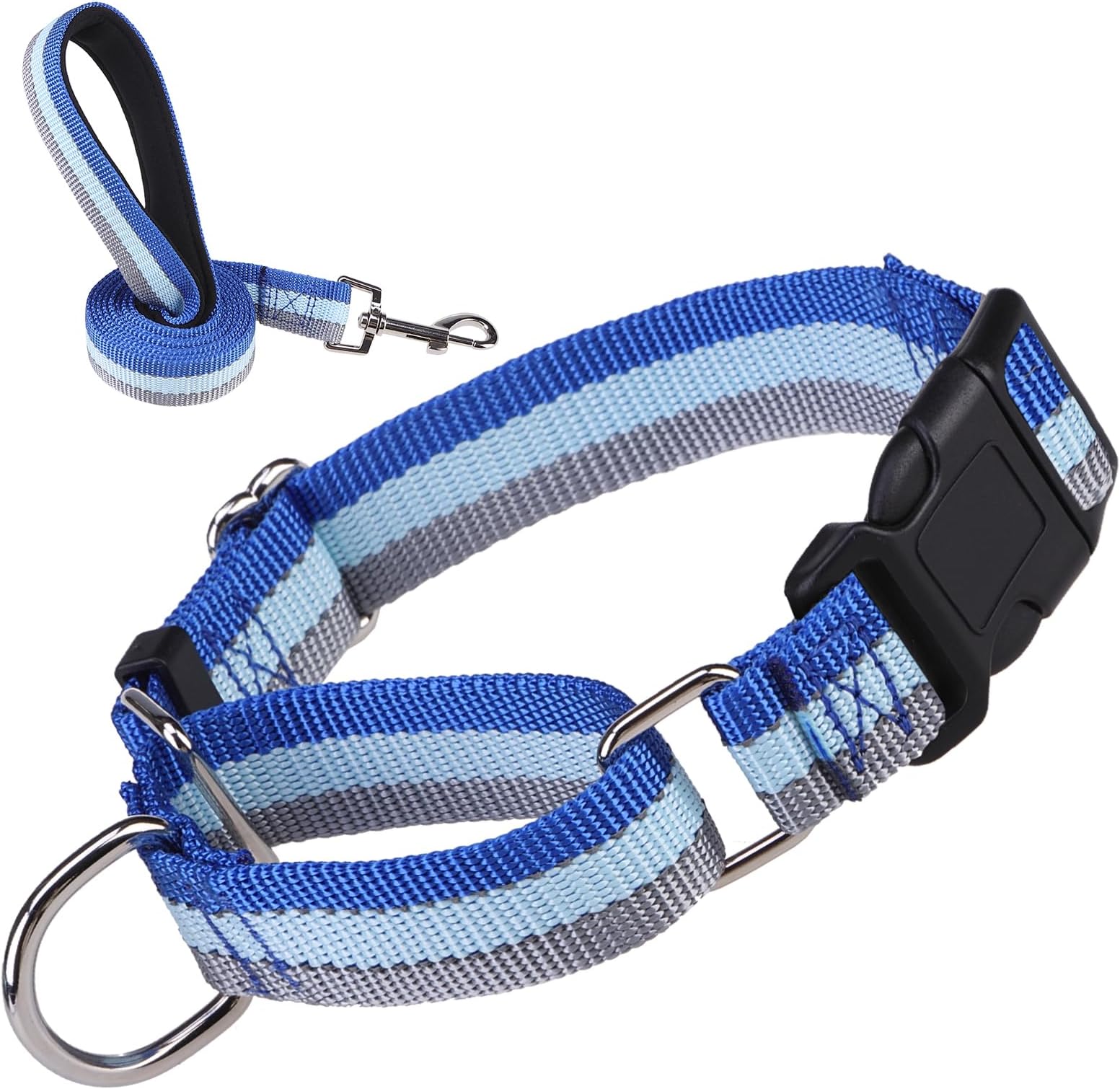 Amazon.com : ESGPET Martingale Dog Collar and Leash Set for Small ...
