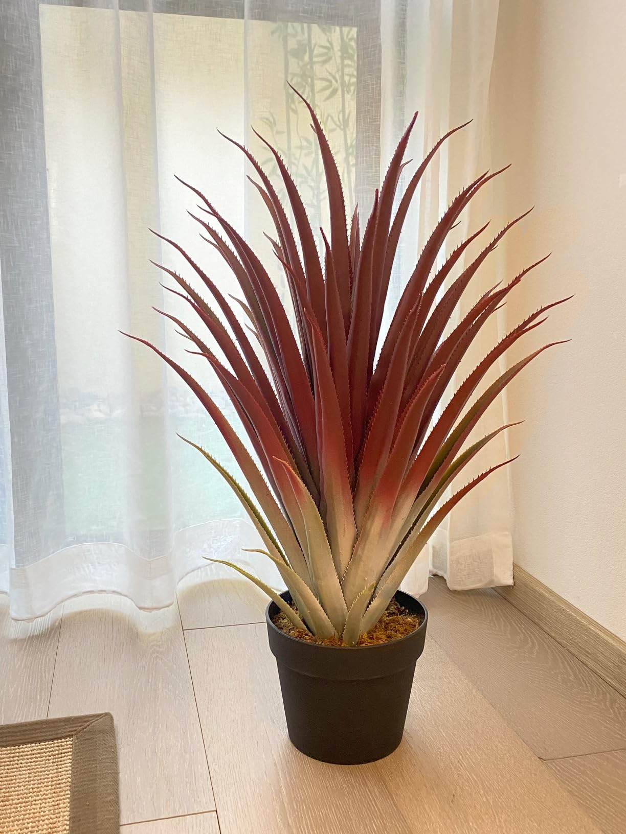 $15/mo - Finance Sunprairie Hyper Realistic Big Red Artificial Aloe ...