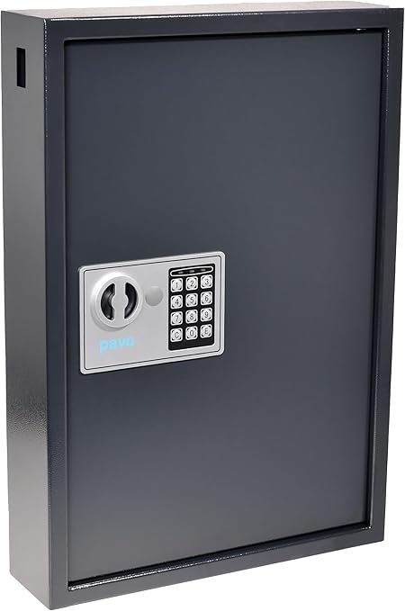 PAVO 8033911 High Security Key Cabinet for 50 Keys , Gray : Amazon.co ...