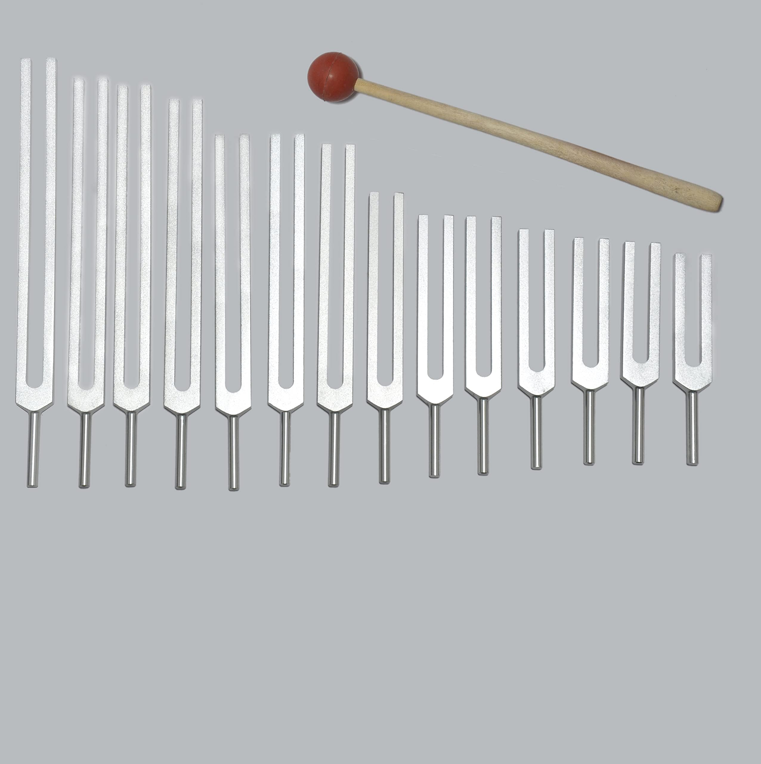 Amazon.com: TFS Tuningforkshop 14 Pc Meridian Tuning Fork for Healing ...