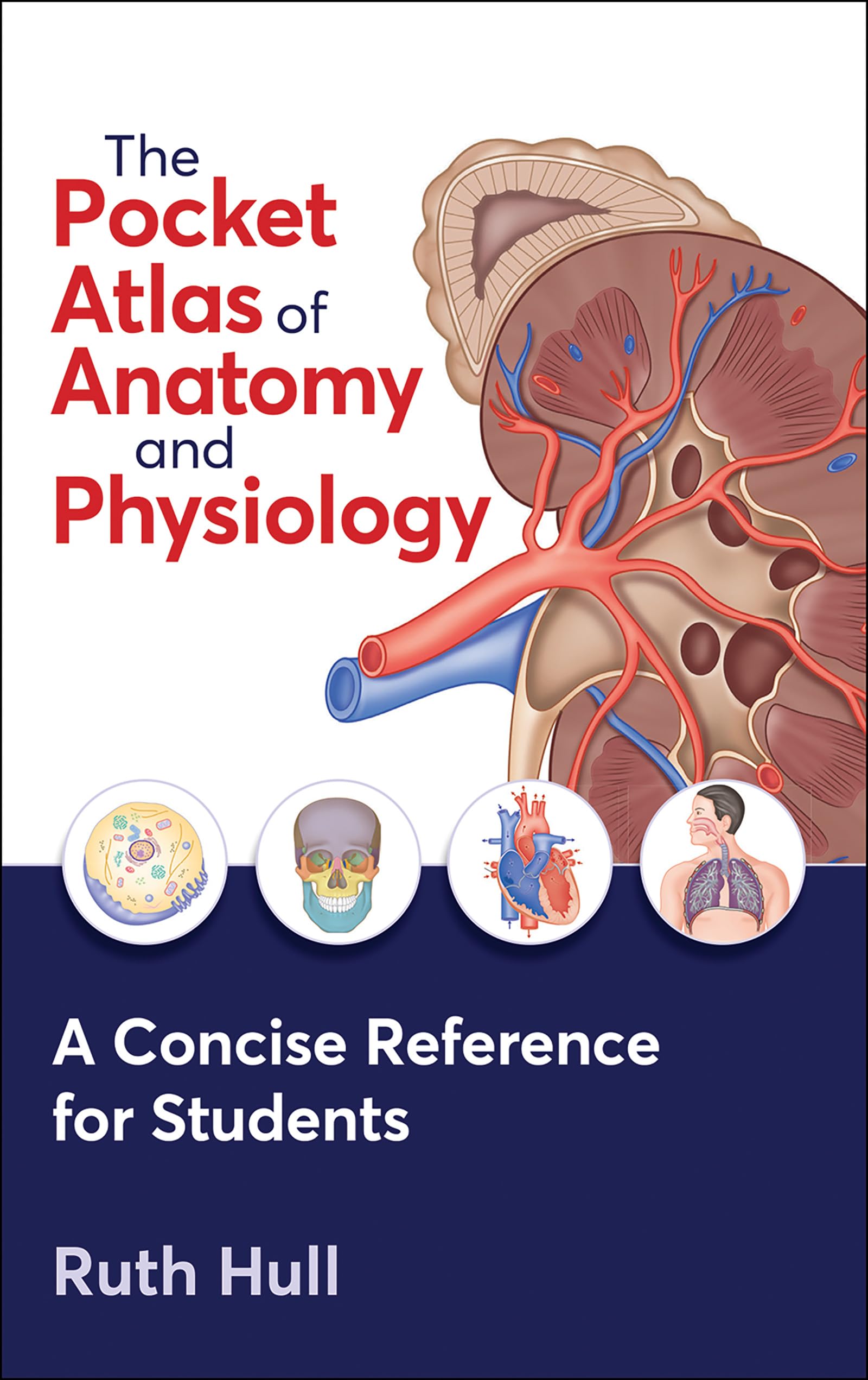 The Pocket Atlas of Anatomy and Physiology: 9781718227040: Medicine ...