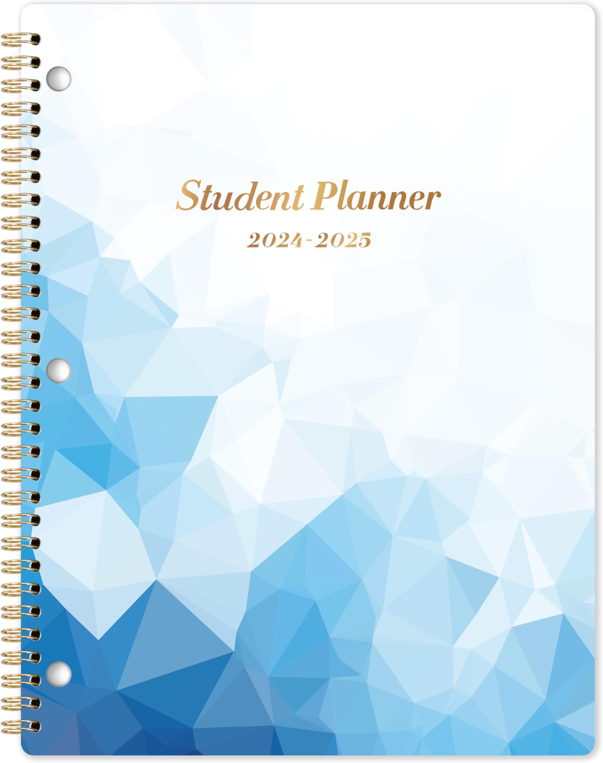 Amazon.com : Student Planner 2024-2025 - Monthly and Weekly School ...