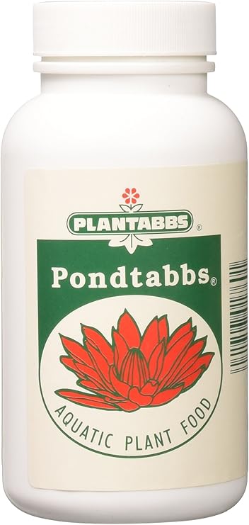 Amazon.com : Pondtabbs 60ct : Fish Pond Plant Fertilizers : Patio, Lawn ...