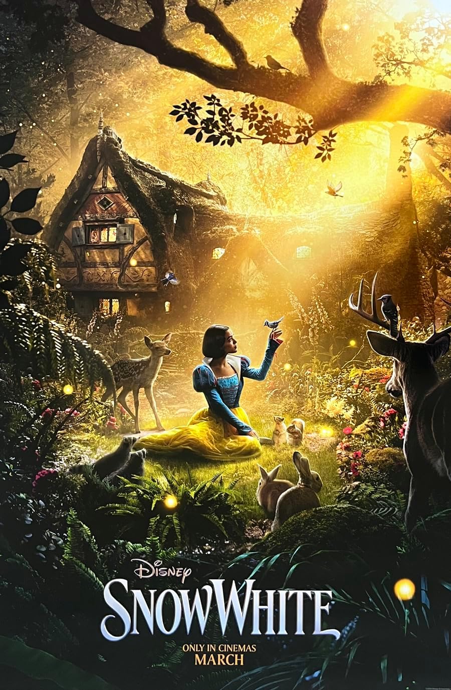 Amazon.com: SNOW WHITE MOVIE POSTER 2 Sided ORIGINAL INTL Advance 27x40 ...