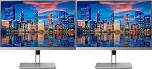HP EliteDisplay E243i 24 Inch Screen LED Backlit 2-Pack Monitor ...