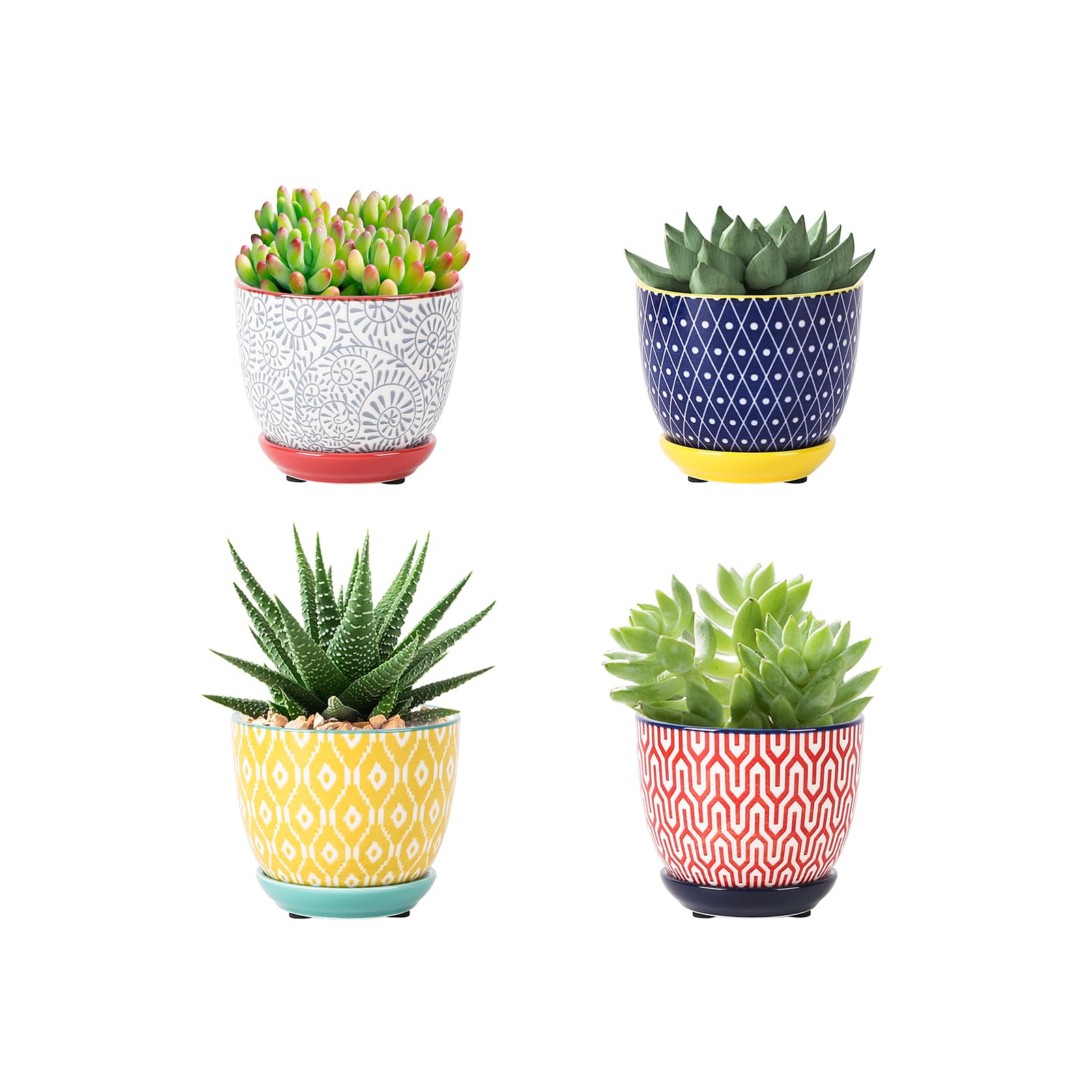 Amazon.com: Selamica Ceramic Succulent Pots with Drainage Holes, Small ...