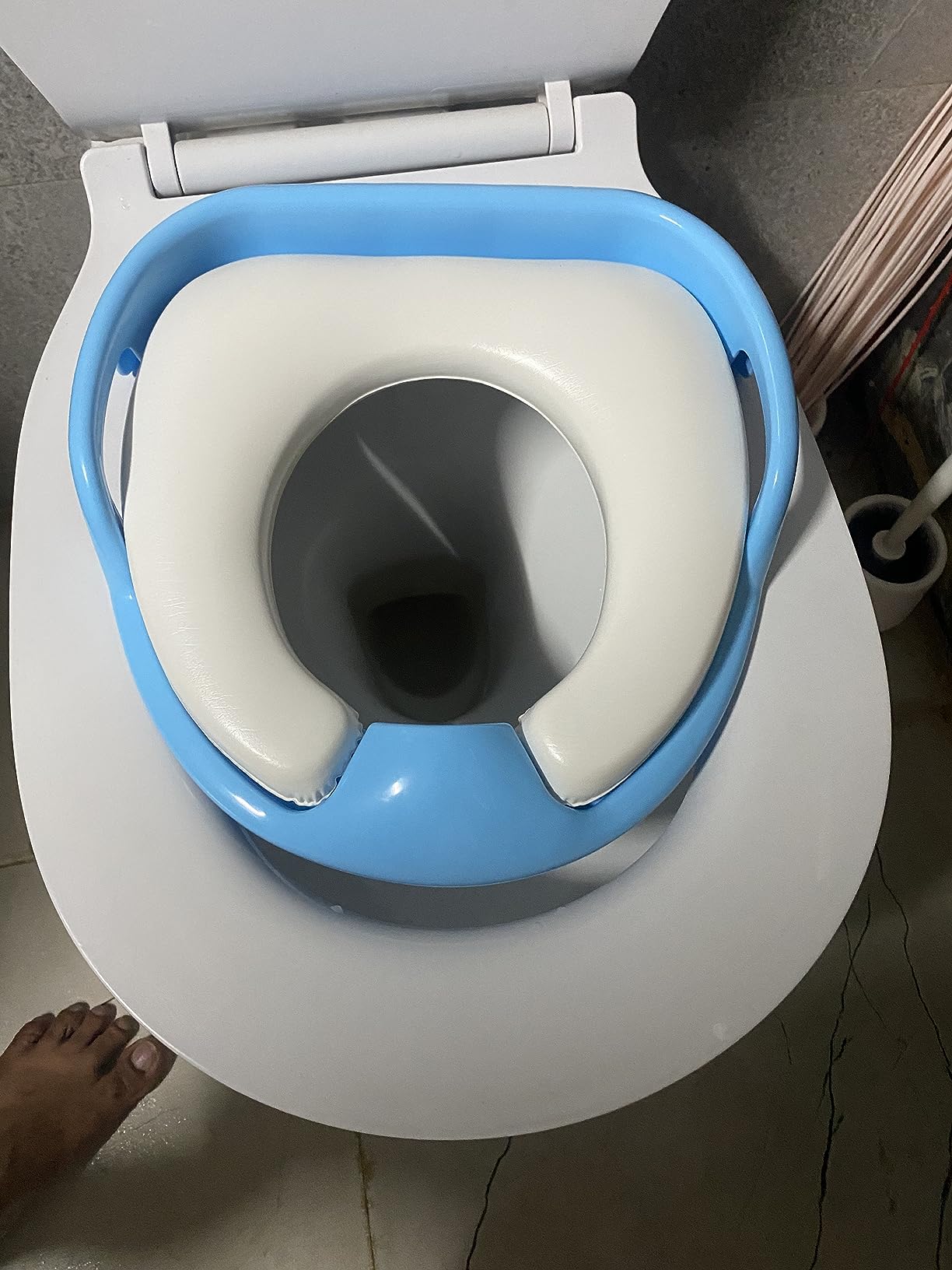 Buy WOTOFY PP Baby Potty Training Seat Ring With Handle - Cushioned ...