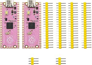 Amazon.com: DIGISHUO 2 PCS Raspberry Pi Pico with 40P Pins Type C Port Based on RP2040 Chip ...