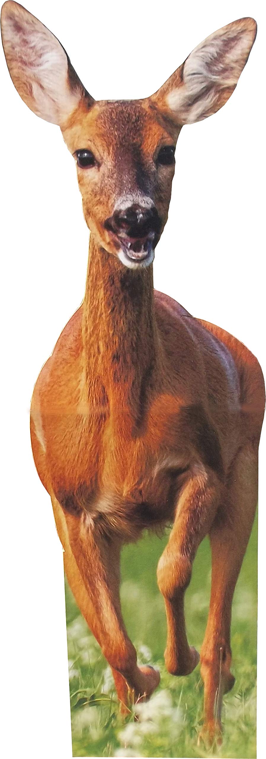 Buy Aahs Engraving Animal Life Size Cardboard Cutout Stand Up Standee Picture Photo Print buy-aahs-engraving-animal-life-size-cardboard-cutout-stand-up-standee-picture-photo-print