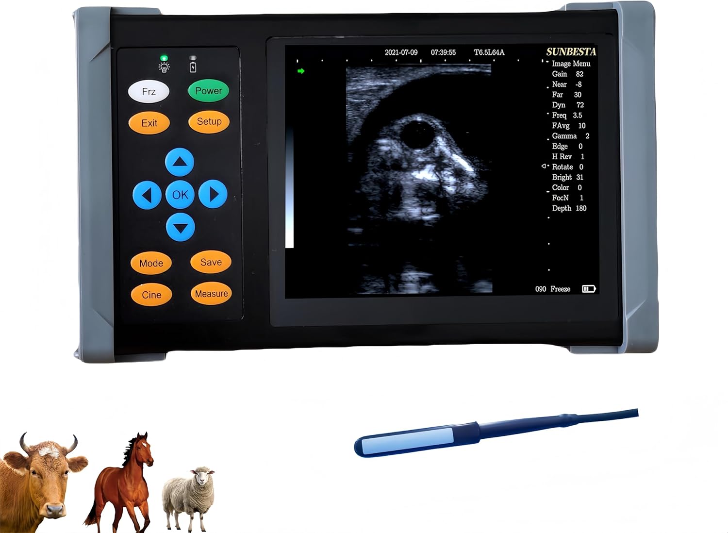 Amazon.com: SUNBESTA A20 Veterinary Ultrasound Machine for Pregnancy ...
