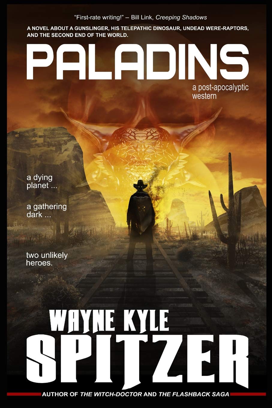 Paladins | A Post-apocalyptic Western: A novel about a gunslinger, his ...