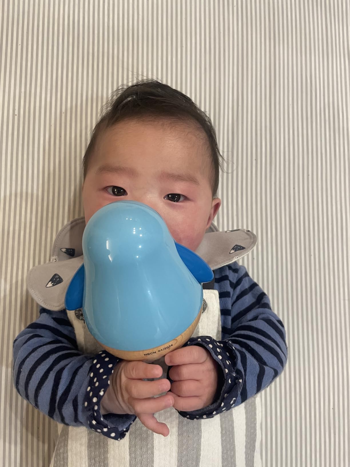 Amazon.co.jp: Hape(ハペ) おきあがりペンギン E0331A : 本