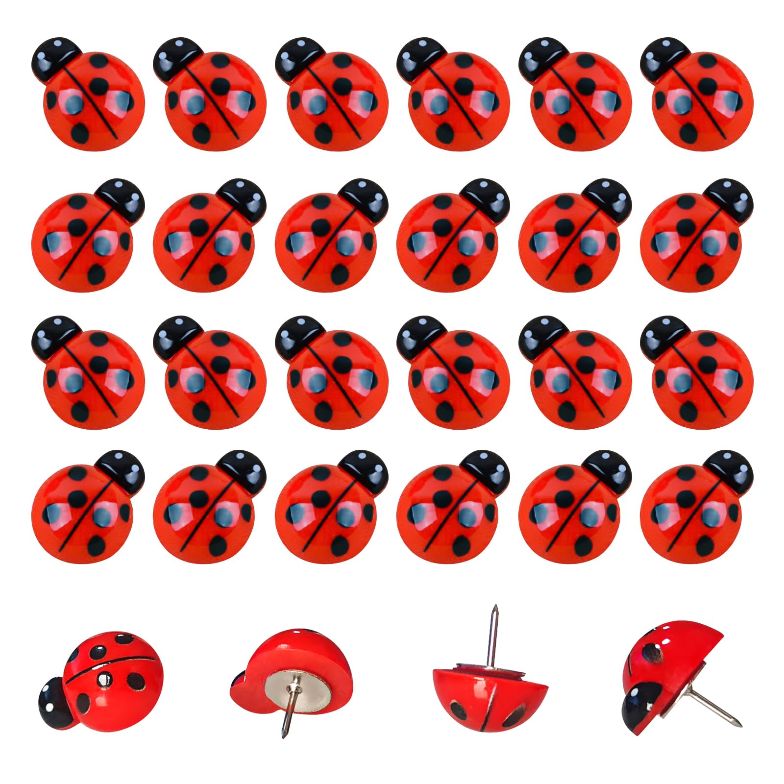 Amazon.com : Cute Ladybug Push Pin, 30Pcs Insect Drawing Pins Photo ...