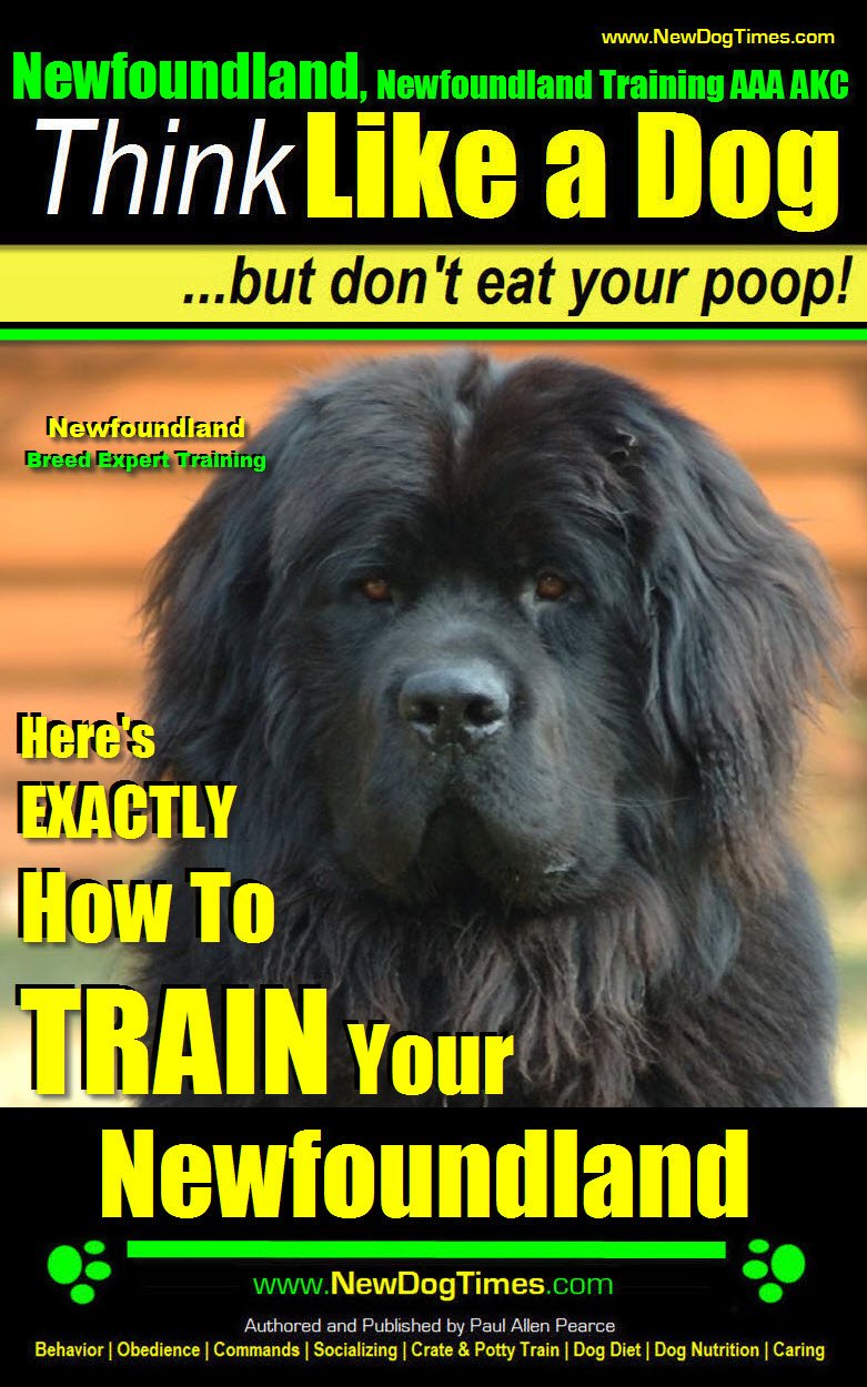 Amazon.com: Newfoundland, Newfoundland Training AAA AKC: | Think Like a ...