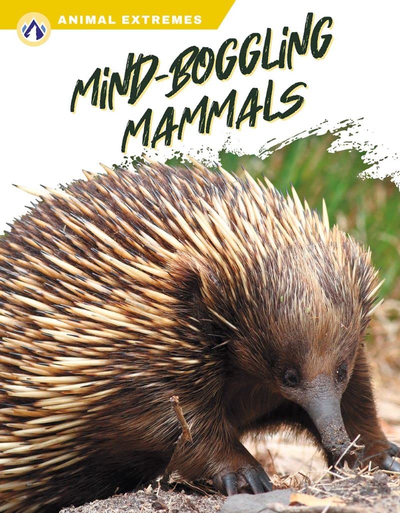 Mind-Boggling Mammals (Animal Extremes): Libby Wilson: 9781637385319 ...