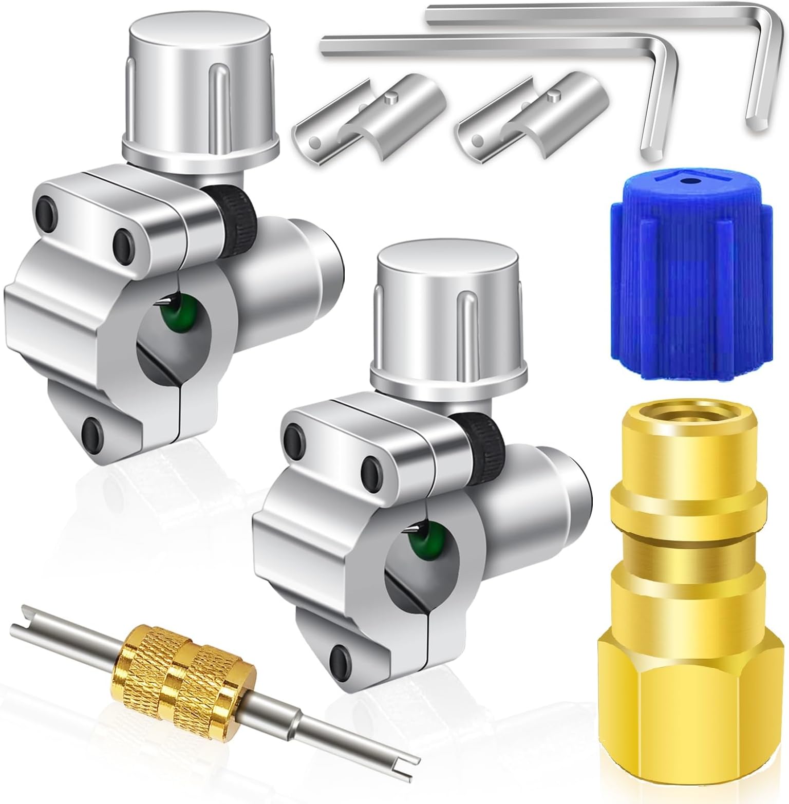 Amazon.com: Mtsooning A/C Retrofit Valve Kit with Dust Cap,BPV31 Bullet ...