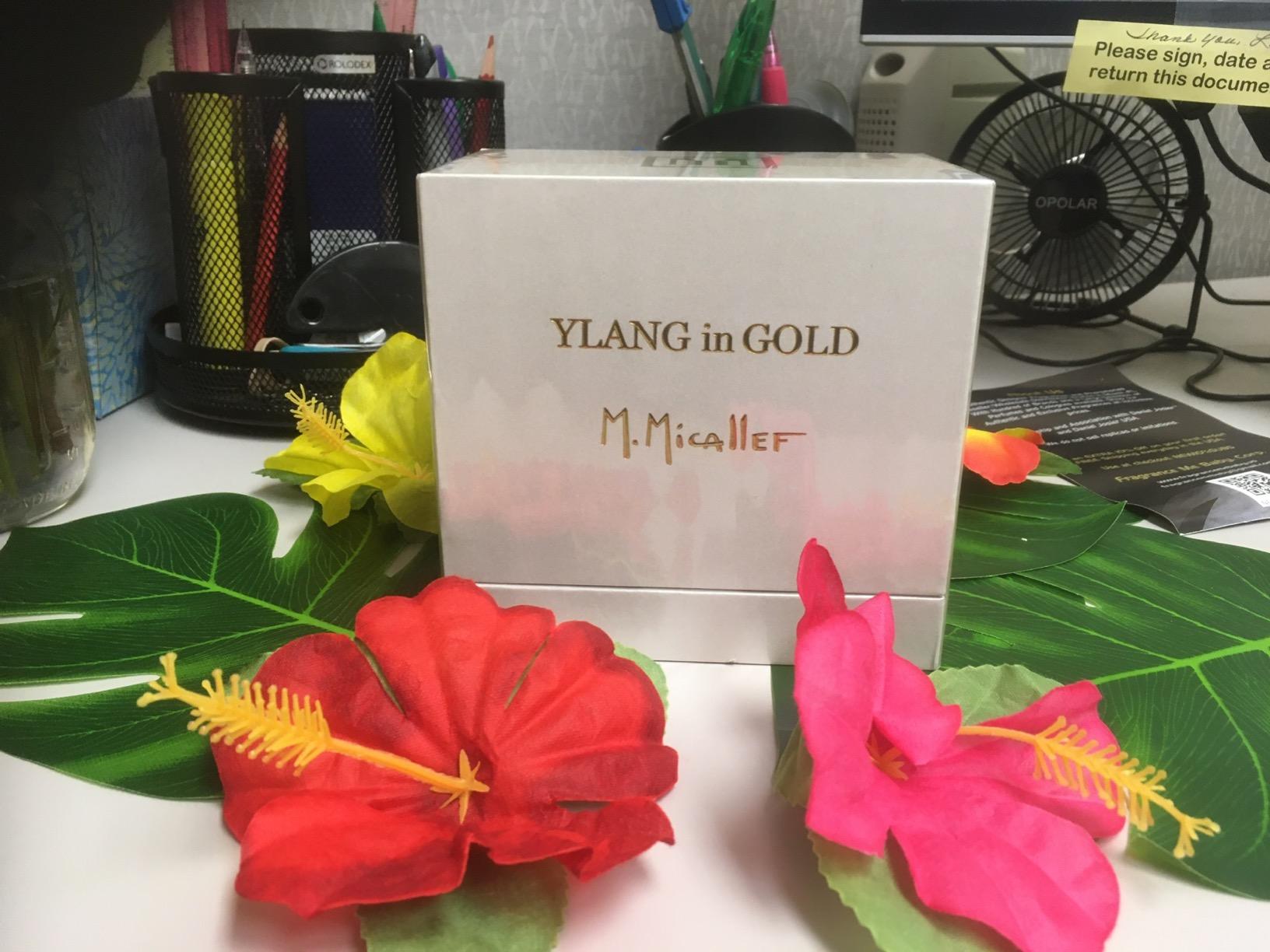 Amazon.com : Micallef M. Micallef Ylang In Gold Women's Eau de Parfum ...