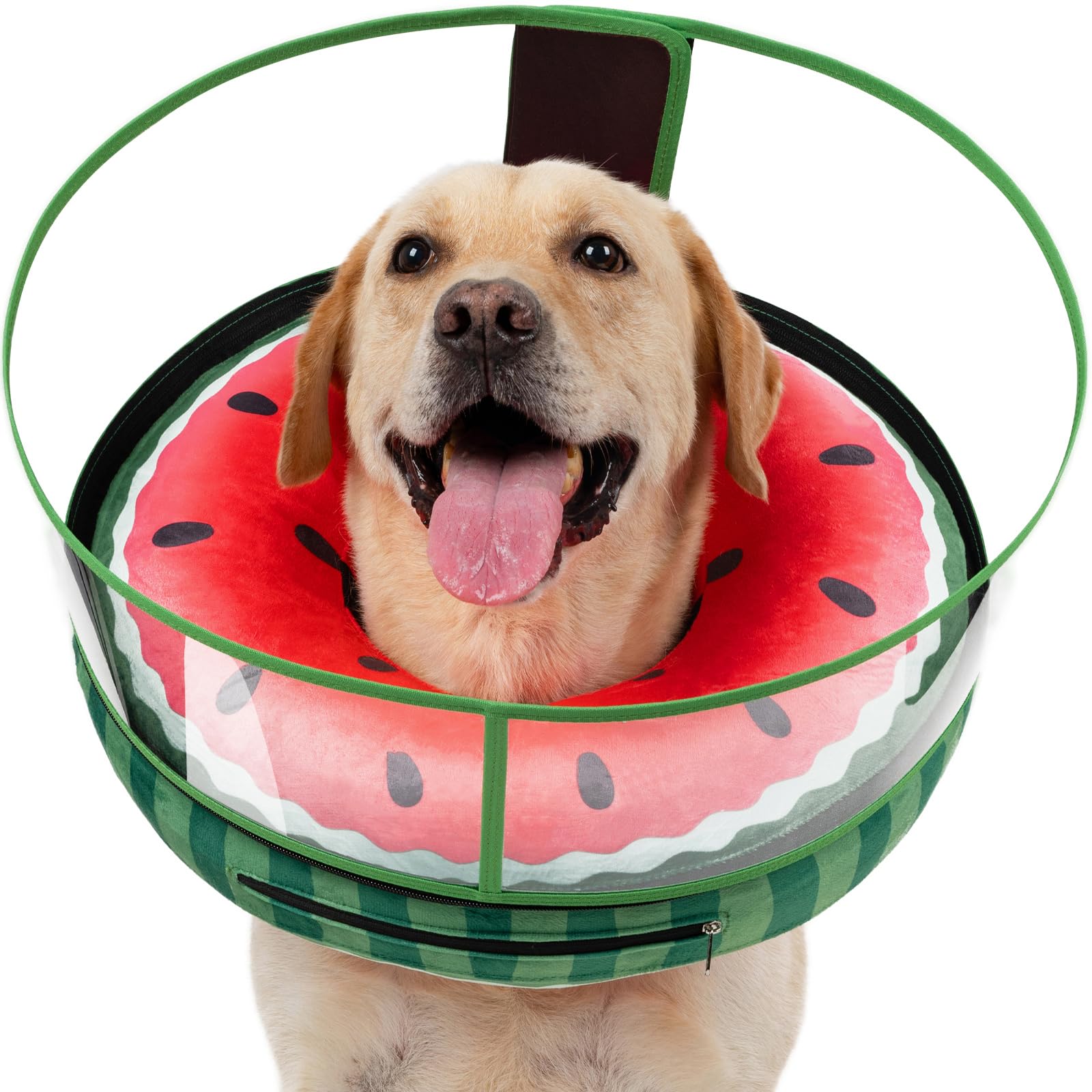 Amazon.com : Didopet Inflatable Dog Cone, Watermelon Dog Donut Collar ...