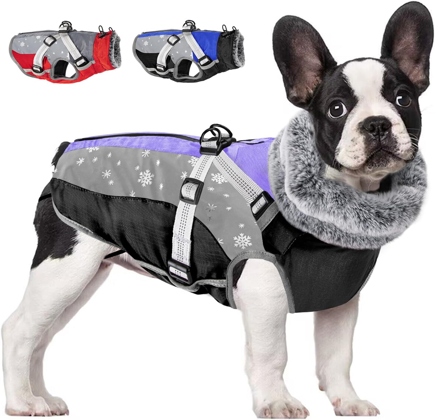 Amazon.com : SlowTon Dog Jacket with Harness Built in - Waterproof ...