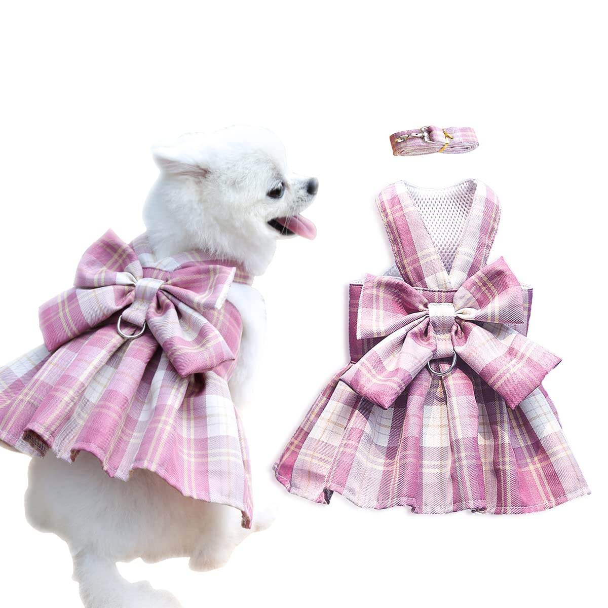 Funny Dog Summer Wedding