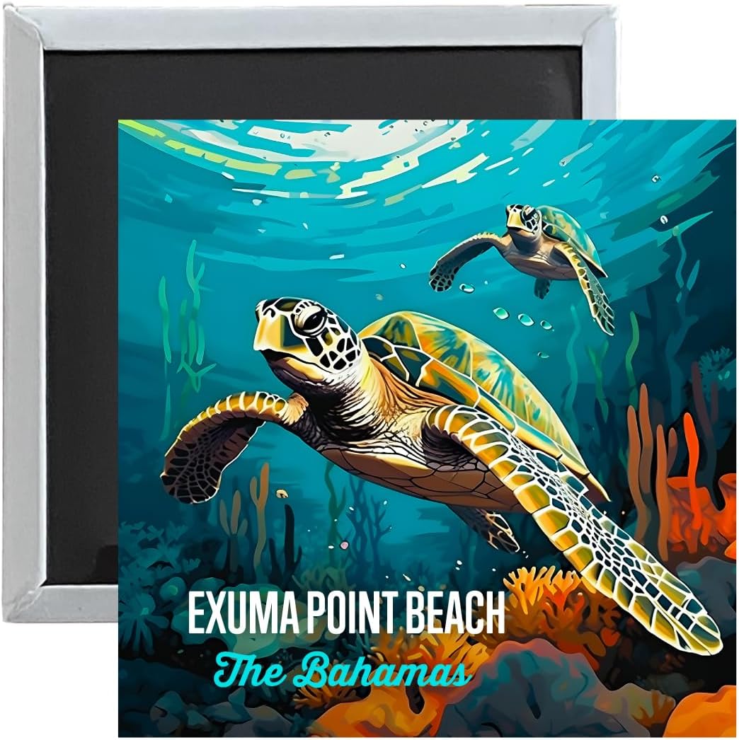 Amazon.com: Exuma Point Beach The Bahamas Underwater Turtle Souvenir 2. ...