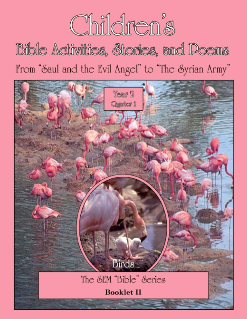 Children's Bible Activity Book Year 2 Quarter 1: Ministry, SonLight ...