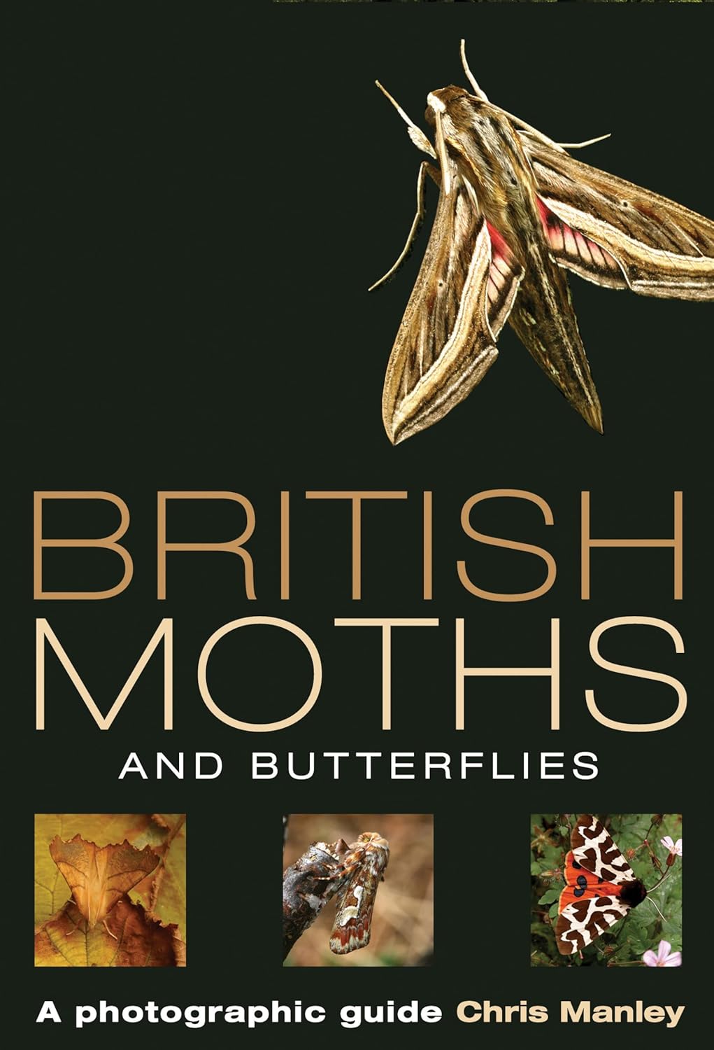 British Moths and Butterflies: 9780713686364: Amazon.com: Books
