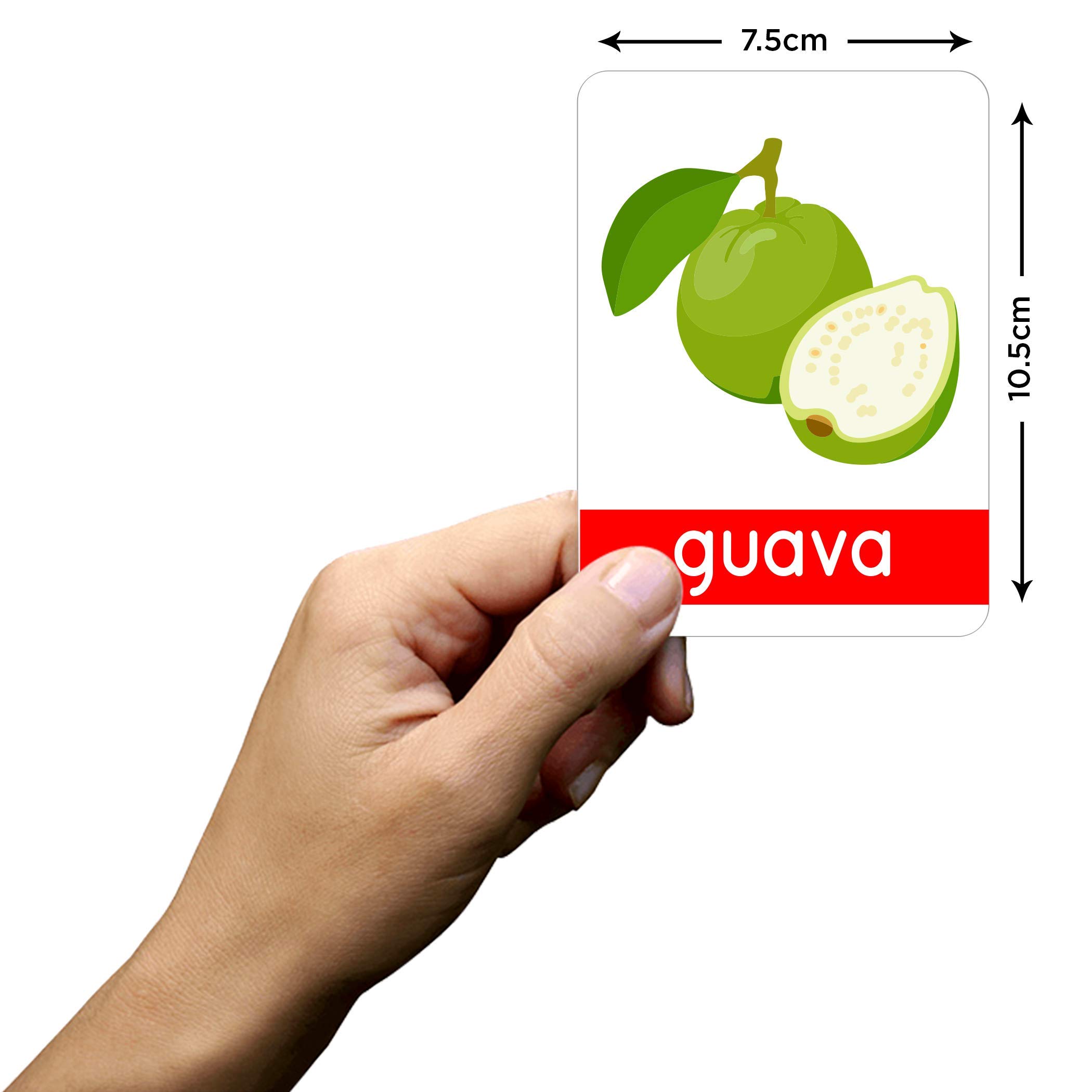 softies 100 basic flashcards for kids to learn english | learn ...