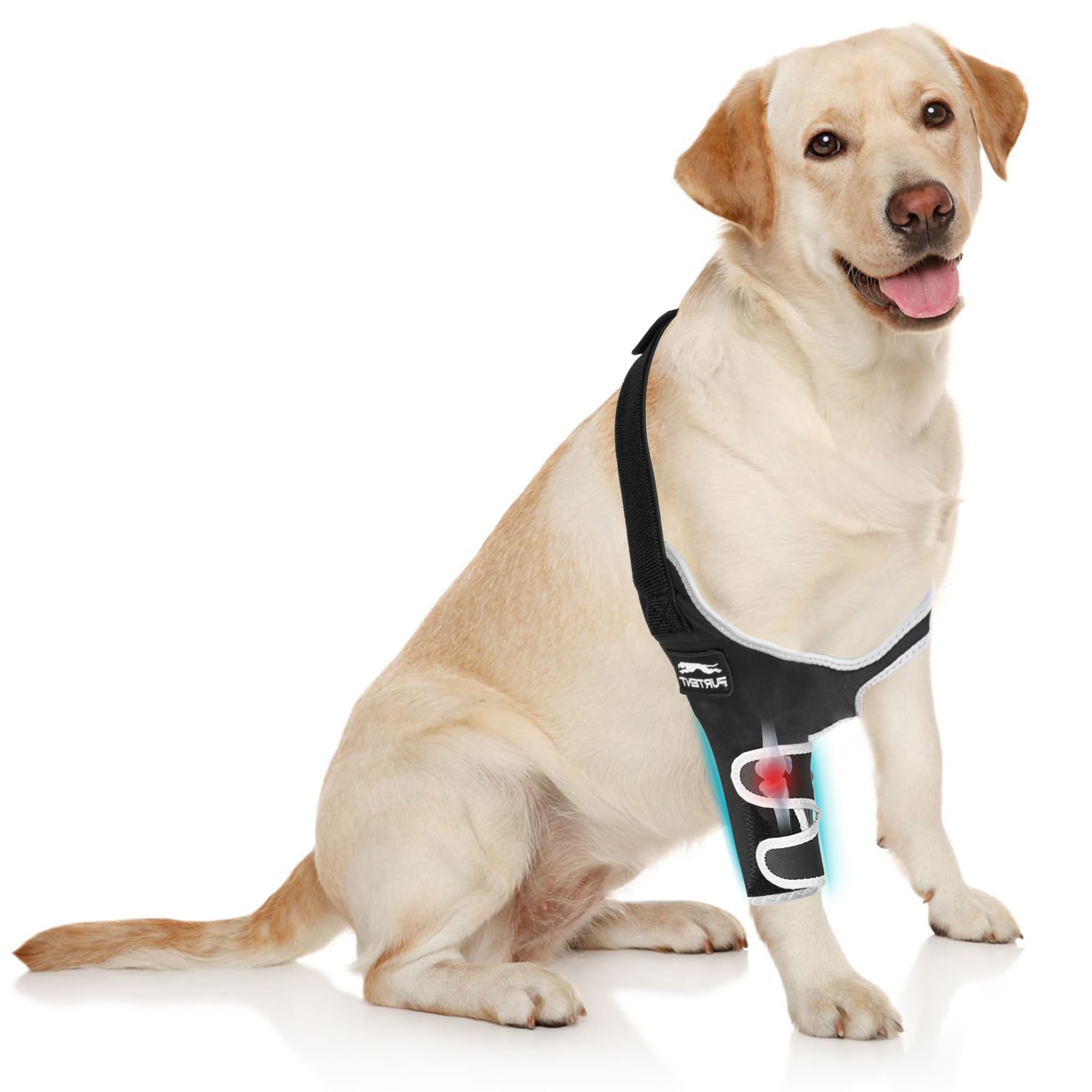 Amazon.com : Dog Elbow Brace for Pets Elbow Dysplasia, Shoulder ...