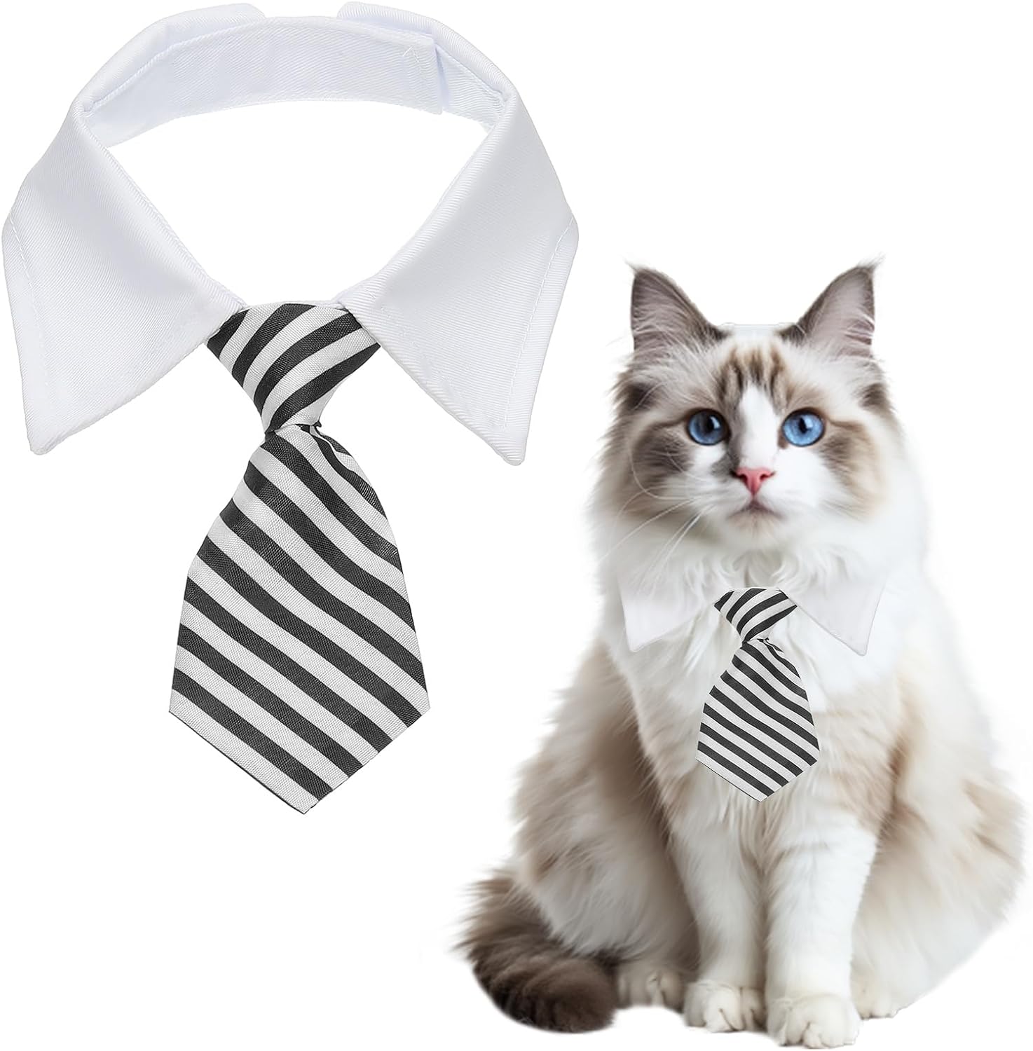 Amazon.com : PETAXCELL Cat Dog Tie with Collar, Cute Tuxedo Bowtie with ...